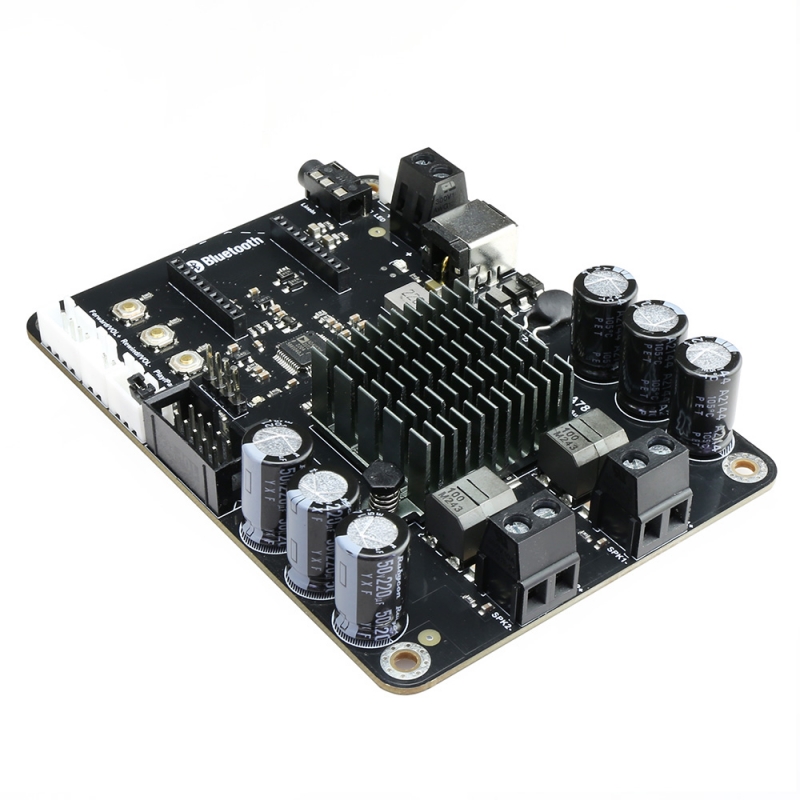 2 x 50W 2 Channels DSP Amplifier Board - TSA7802A